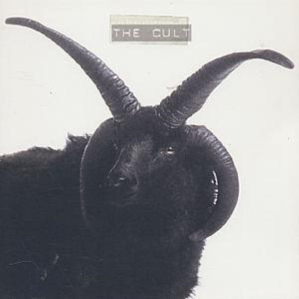 Cult CD - Cult | Buy Now For £24.99 – Rocksax - Official Music Merchandise